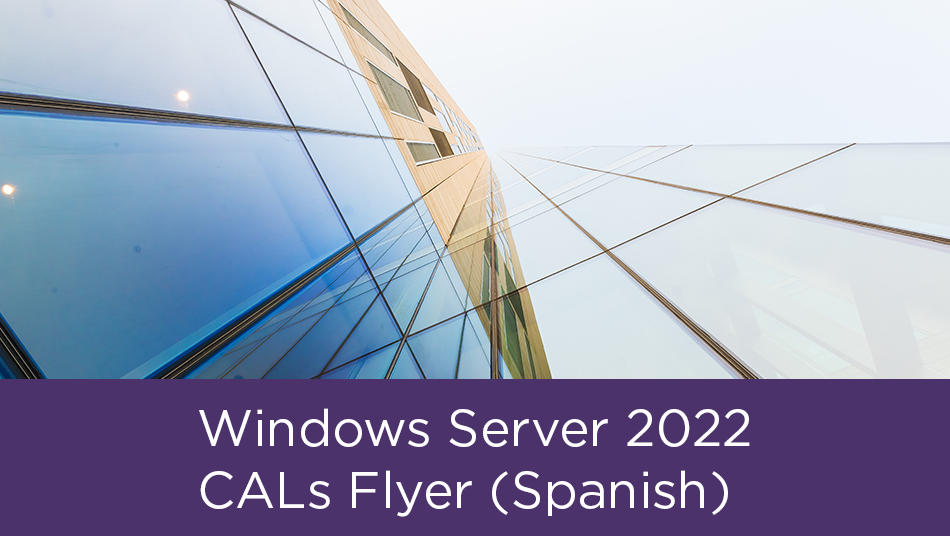Windows Server 2022